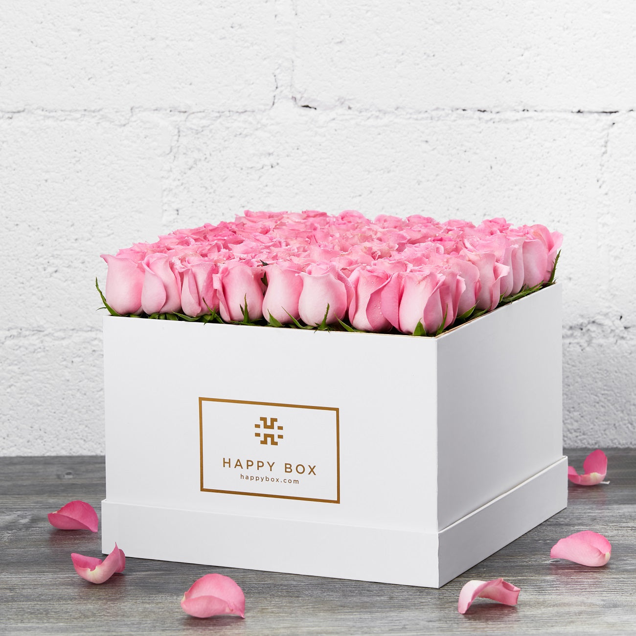 Savannah – HAPPY BOX